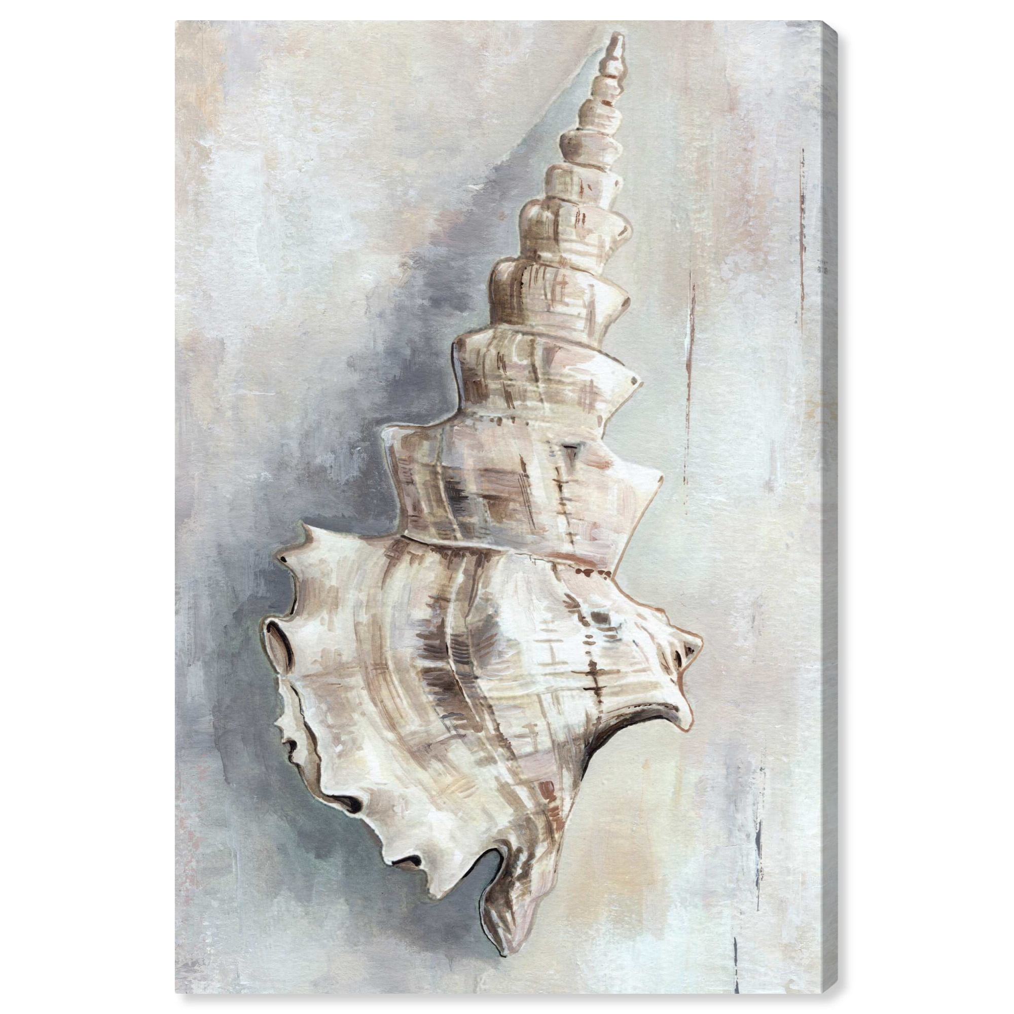 Charming Seashell Canvas Trendy Coastal Print by Art Remedy, Gallery ...
