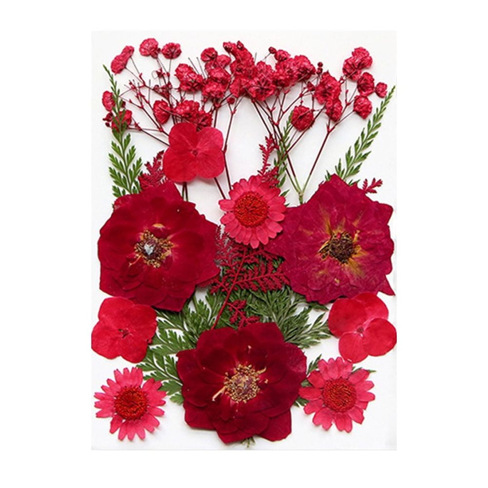 Charming and Colorful Dried Flowers DIY Material Pack for Crafts and ...