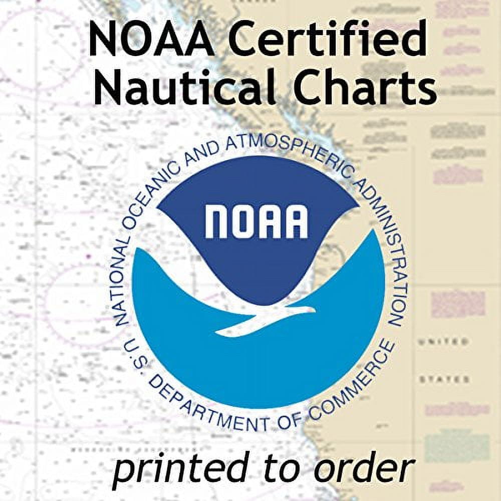 Chart 11360 - Walmart.com