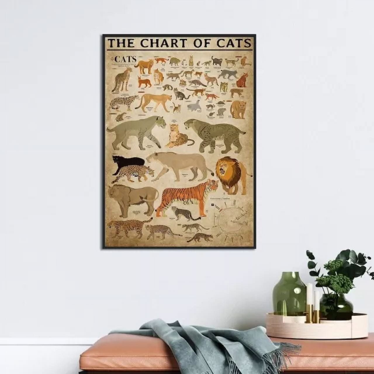 The Chart Of Cats Poster, Cat Breeds Print, Cat Breeds Chart, Cat ...