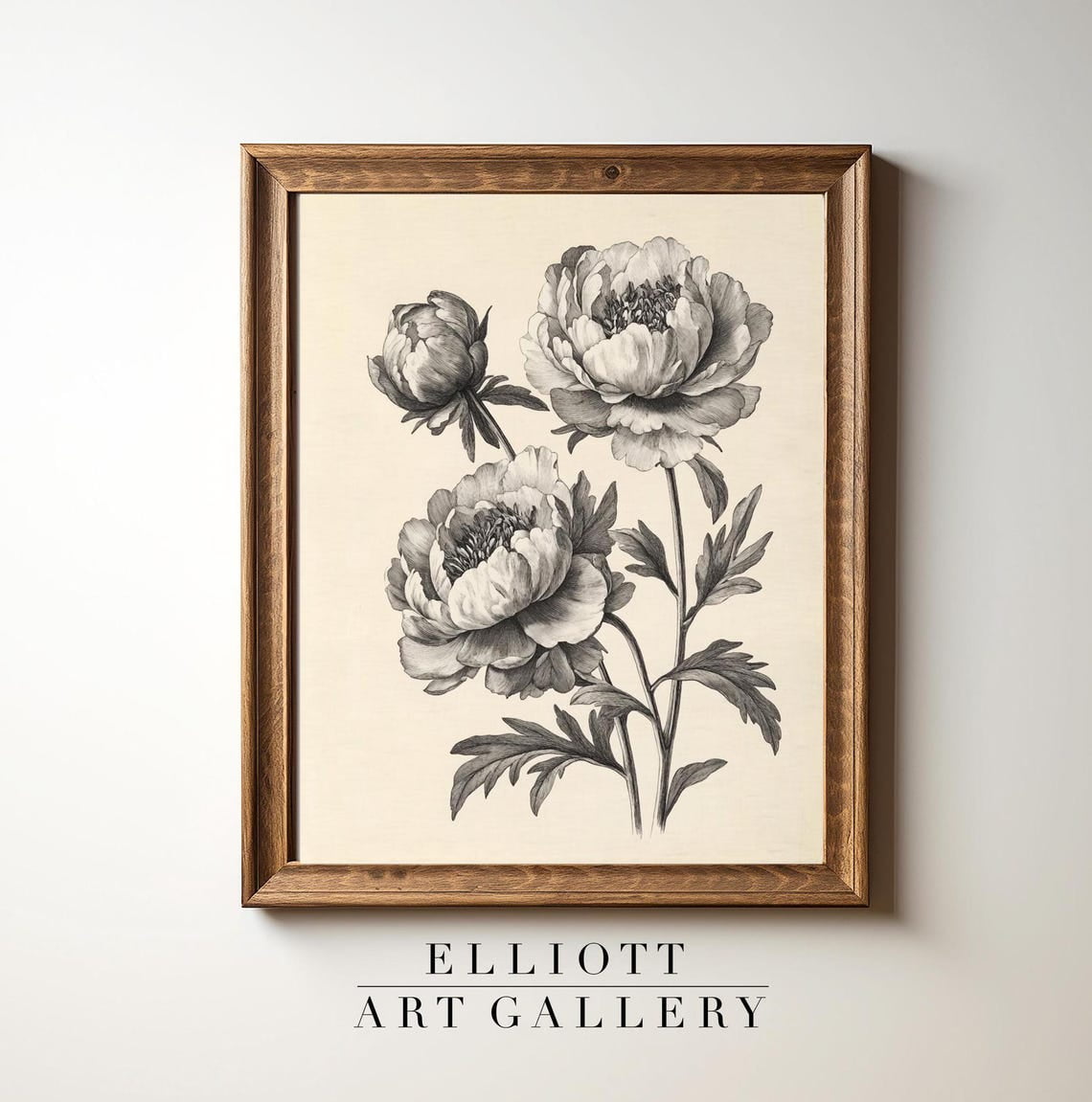 Charten Antique Peony Sketch Poster Botanical Farmhouse Wall Art, 24x36 ...