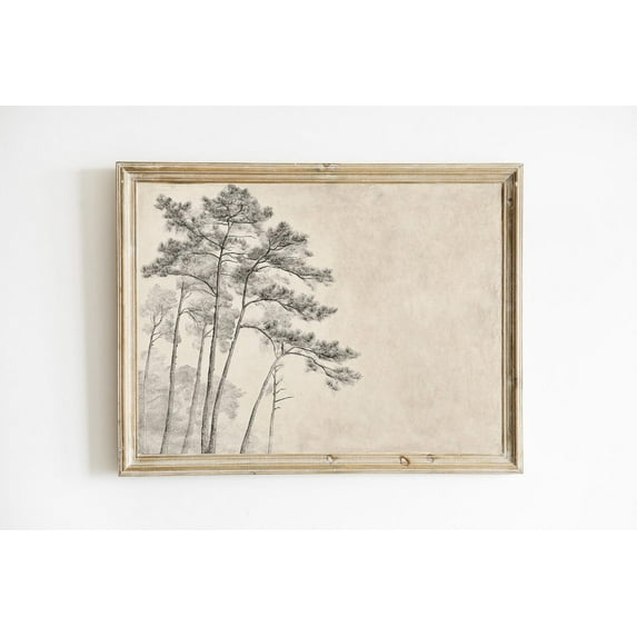 Charten Antique Tree Sketch Poster Rustic Minimalist Wall Art, 24x36 ...