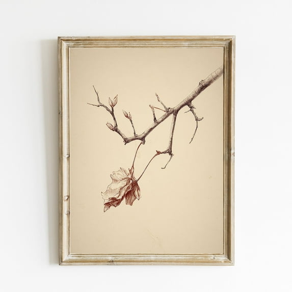 Charten Autumn Leaf Sketch Poster Vintage Botanical Cottagecore Wall ...