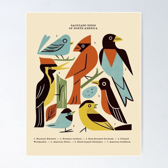 Charten Backyard Birds Identification Guide Poster, 12x18 UNFRAMED ...