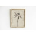 Charten Neutral Wildflower Botanical Poster Minimalist Wall Art, 8x12 ...