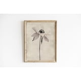 Charten Neutral Wildflower Botanical Poster Minimalist Wall Art, 8x12 ...