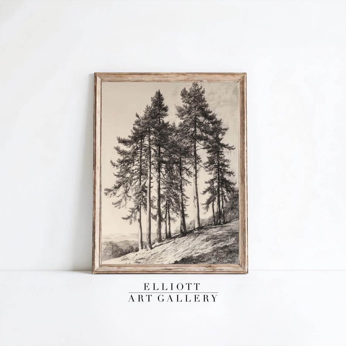 Charten Pine Trees Etching Poster Vintage Sketch Wall Art, 16x24 ...