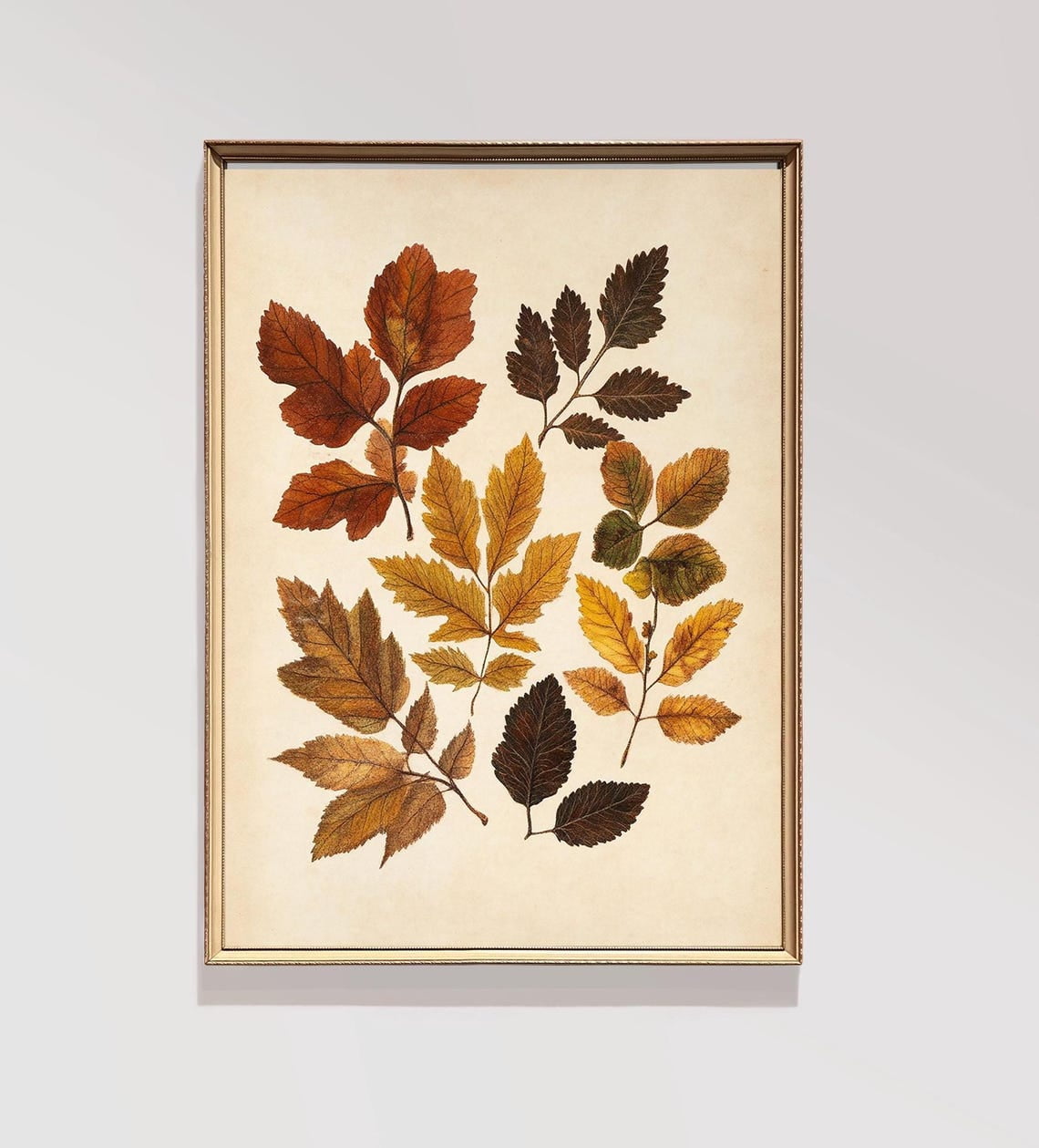 Charten Vintage Autumn Leaf Botanical Poster Rustic Dining Room Wall ...