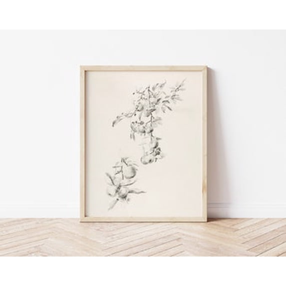 Charten Vintage Tree Branch Black and White Wall Art Poster, 16x24 ...