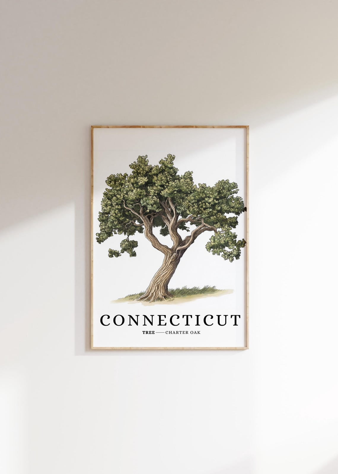 Charter Oak Tree Poster: Connecticut State Symbol Art, Unframed Poster ...