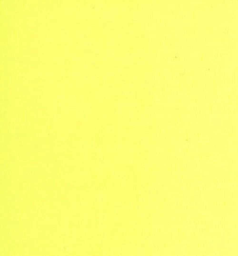 Chartreuse Bright Neon Fluorescent Labels/Stickers - 8.5" x 5.5" - 50 ...
