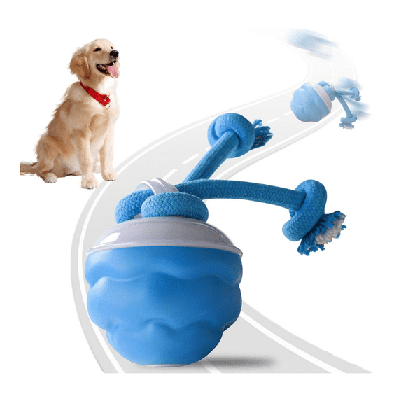 The Chase Buddy Dog Boredom Stimulating Toy 2025 Smart Pet Puppy Ball ...