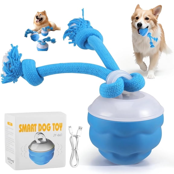 Busy Buddy Dog Toy