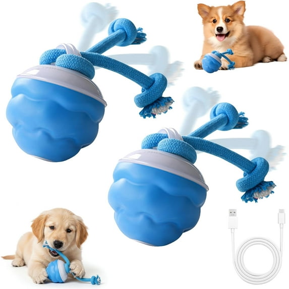 Chase Buddy Dog Toy, Interactive Motion Activated Rolling Dog Ball ...