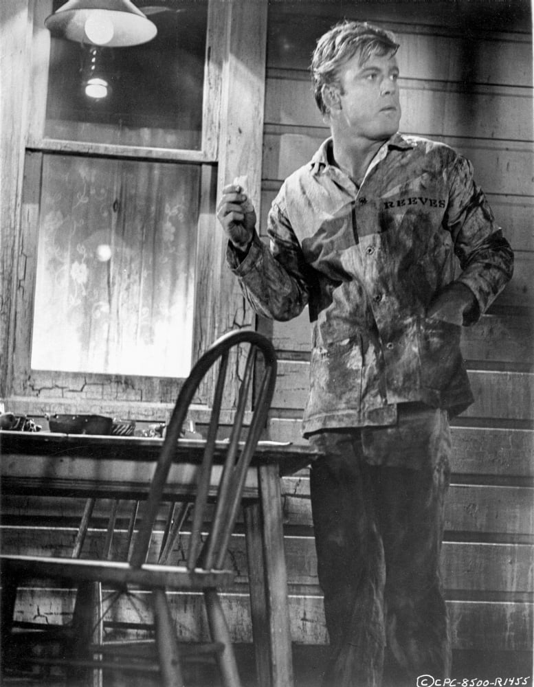 Chase Feeling Scared in The Kitchen Photo Print (24 x 30) - Walmart.com