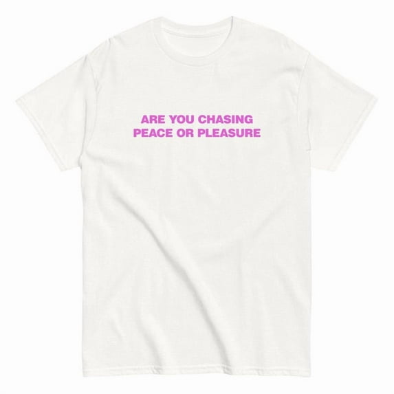 Chasing Peace or Pleasure T-Shirt – Thought-Provoking Minimalist Tee ...
