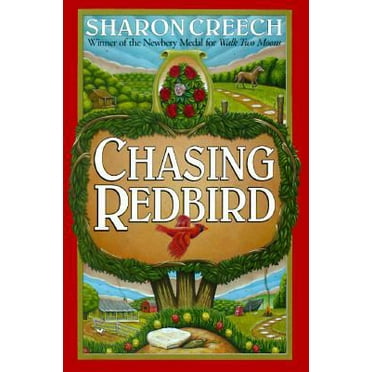 The Wanderer, (Paperback) - Walmart.com