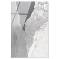 Chasm of Gray II Acrylic Print Elegant Wall Decor by Art Remedy, Ready ...