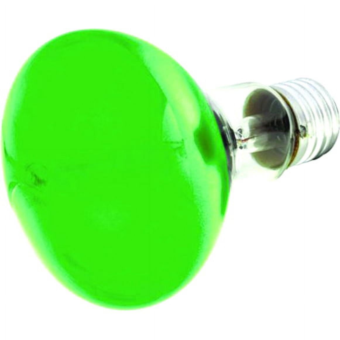 Chauvet Lighting Colorbank Replacement Lamp 120V 60W Green - Walmart.com