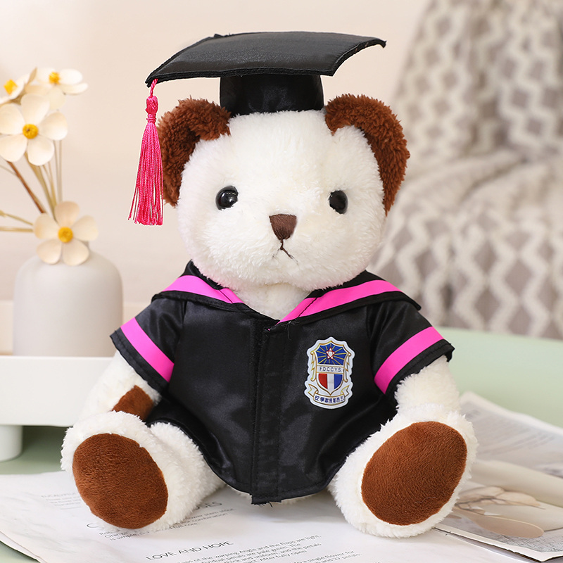 CheShi 2023 Graduation Teddy Bear Plushie Stuffed Teddy in Black Cap ...