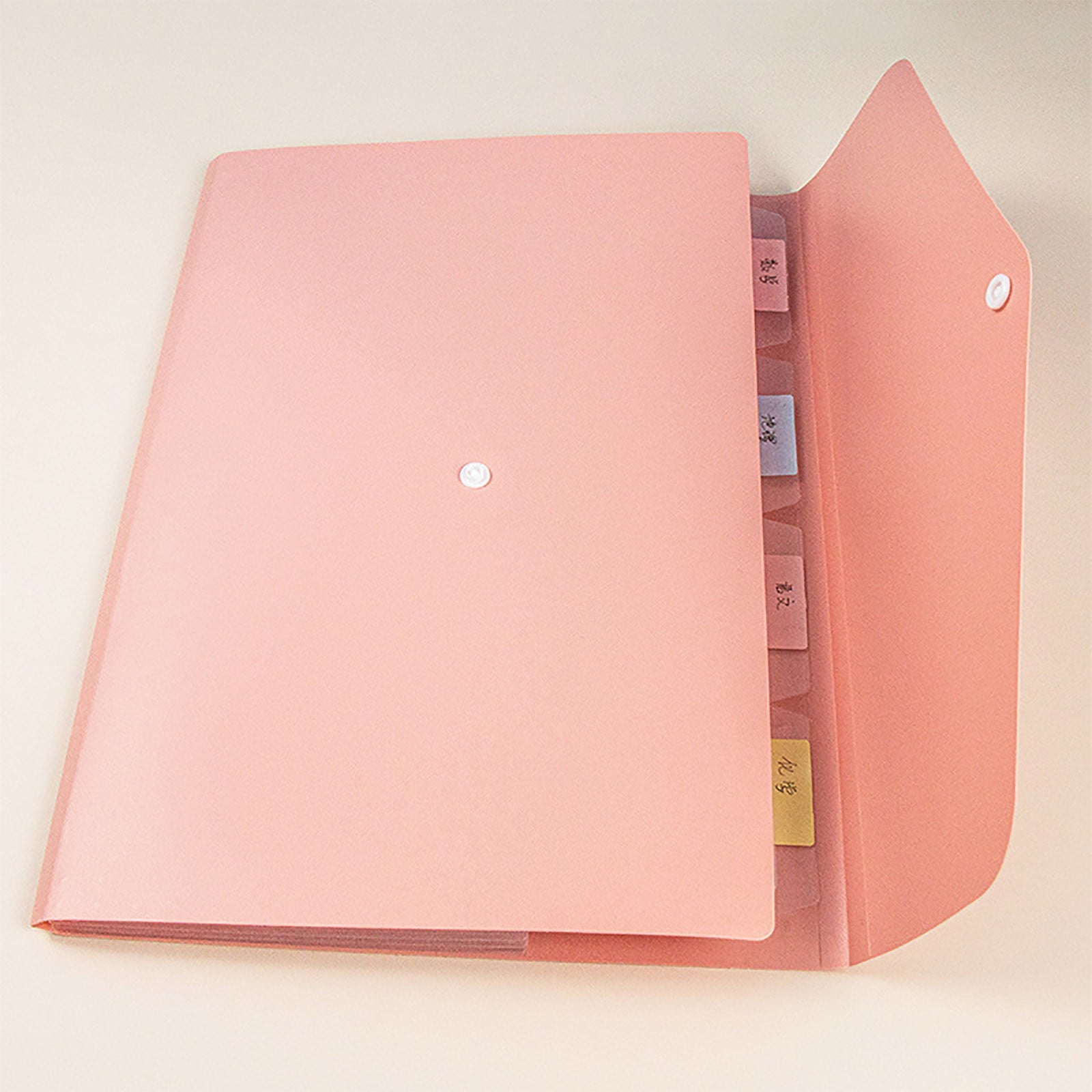 Cheapark Accordion File Organizer, Expanding File Organizer With 5 ...