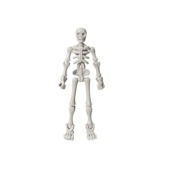 Cheapark T13 Skeleton Action Figure, Movable Articulated Human Skeleton ...
