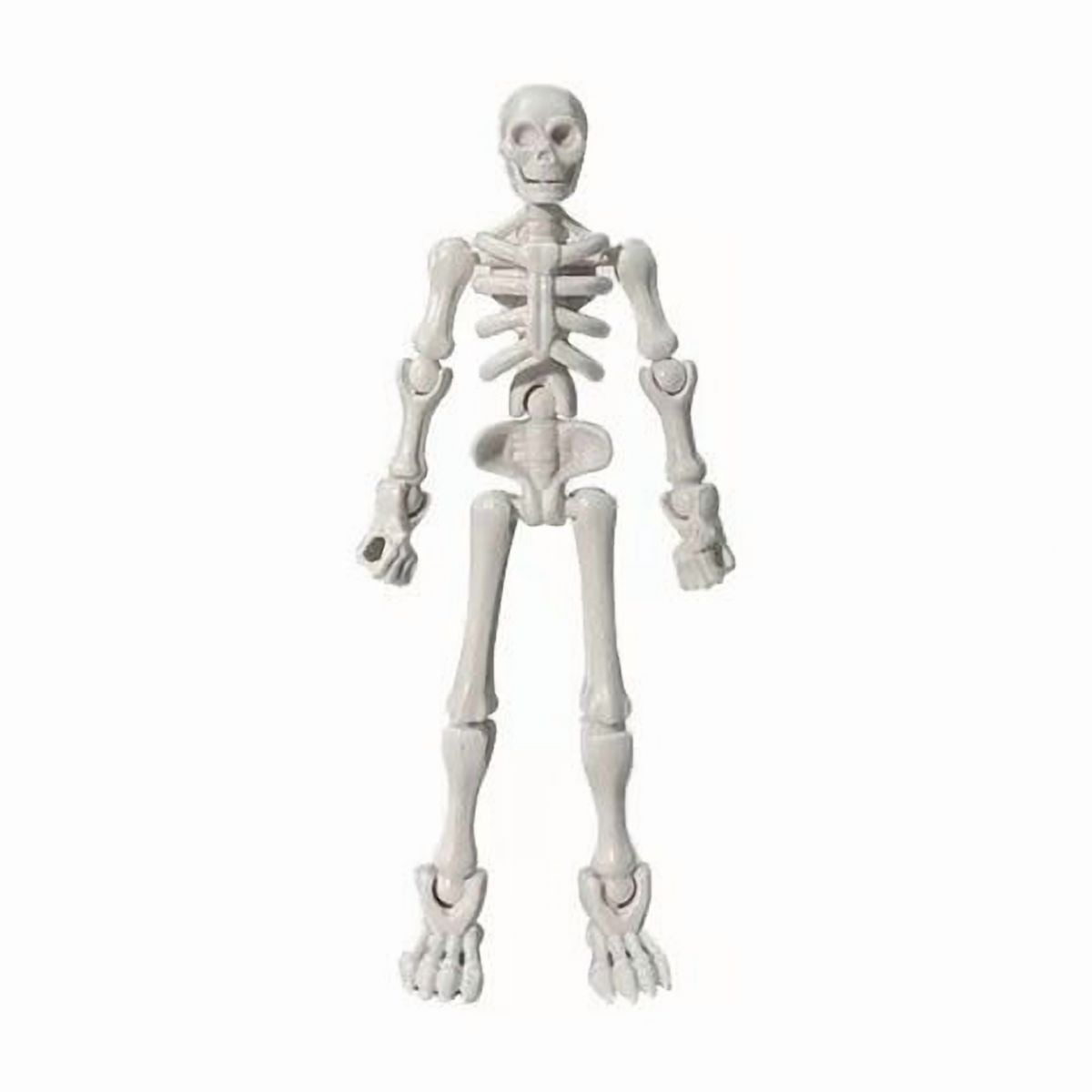 Cheapark T13 Skeleton Action Figure, Movable Articulated Human Skeleton ...