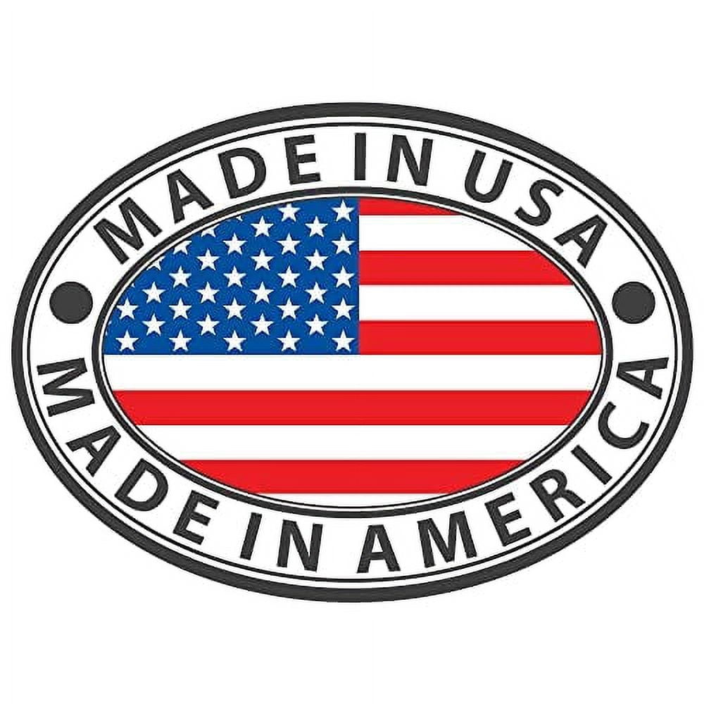 Check6 Science Is Everywhere Poster | 12-Inches By 18-Inches ...