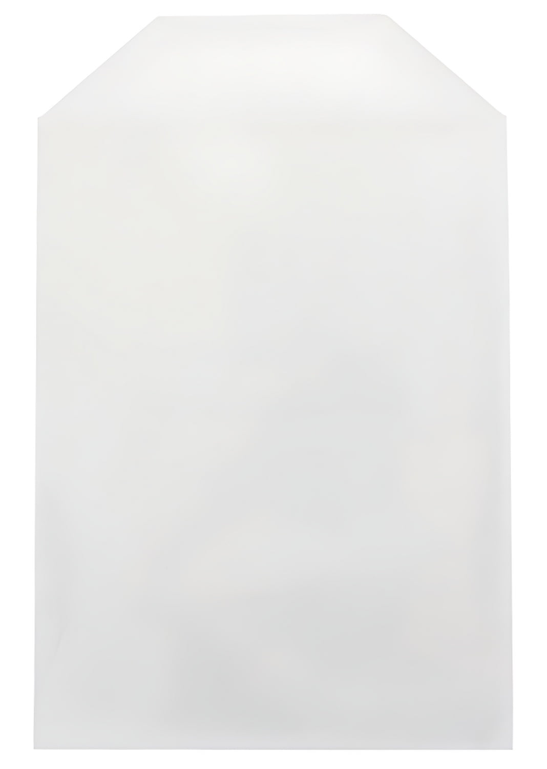 CheckOutStore 1000 CPP Clear Plastic Sleeve with Flap 80g (Fits 14mm ...