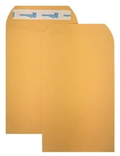 CheckOutStore 4000 ShippingMailers 6 x 9 Kraft Catalog Envelopes /w ...