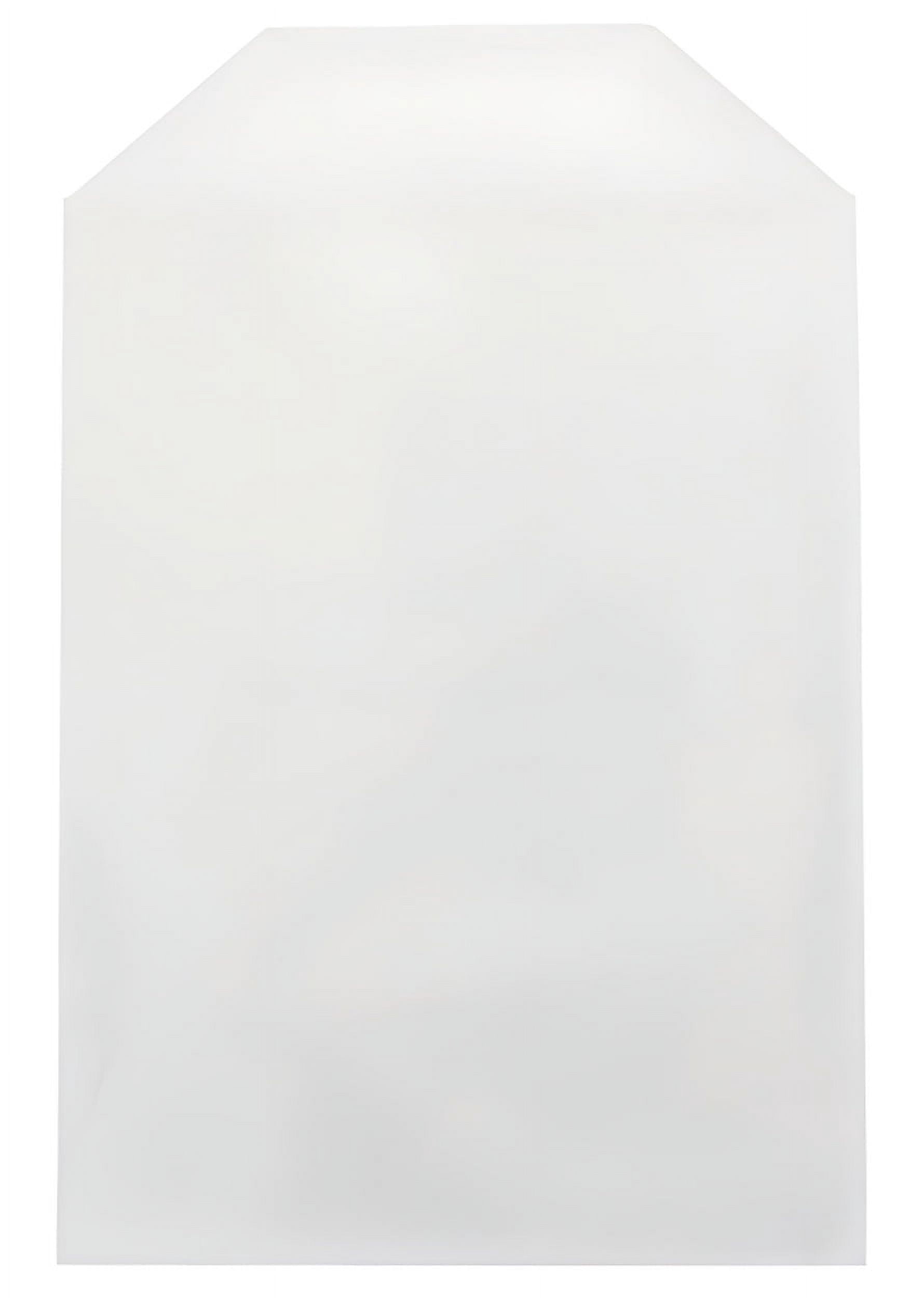 CheckOutStore 50 CPP Clear Plastic Sleeve with Flap 80g (Fits 14mm DVD ...
