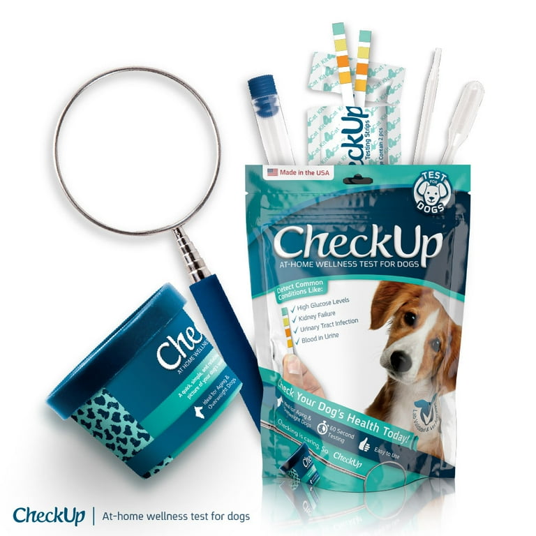 How Do You Collect A Urine Sample From A Male Dog