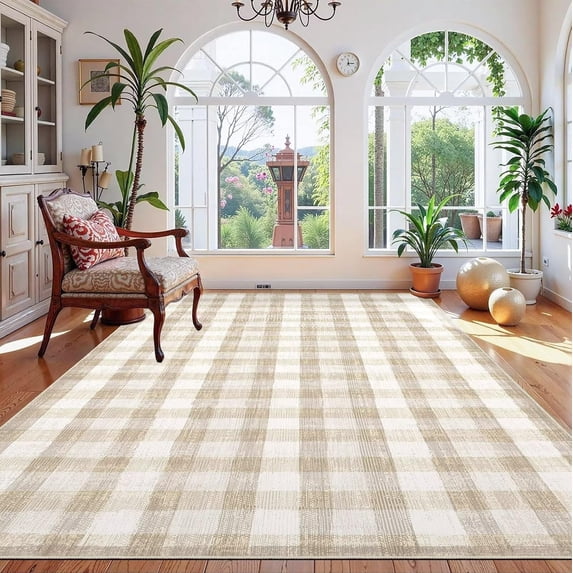 Checkered Area Rug 5x7, Washable Rugs for Living Room, Modern Neutral ...