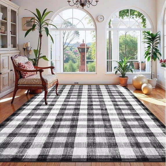 Checkered Area Rug 5x7, Washable Rugs for Living Room, Modern Neutral ...