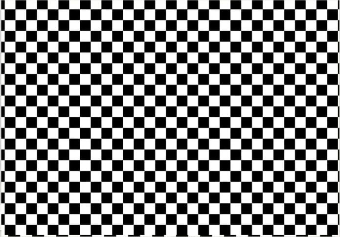 Checkers Chess Backdrop Black White Racing Pattern Birthday Theme ...