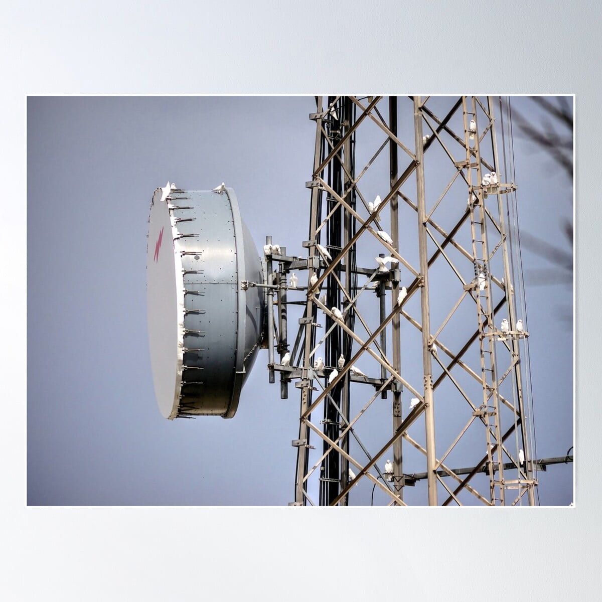 Checking For Messages Poster Wall Art, Modern Wall Decor For Living ...