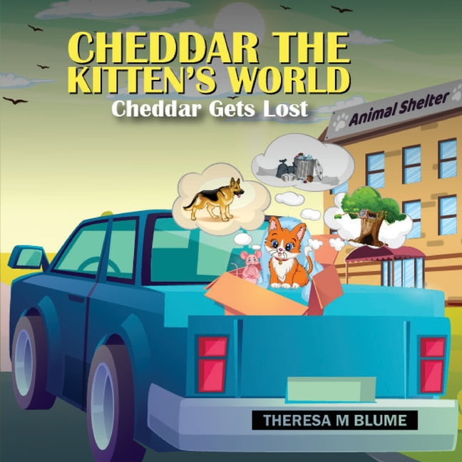 Cheddar The Kitten's World: Cheddar Gets Lost - Walmart.com