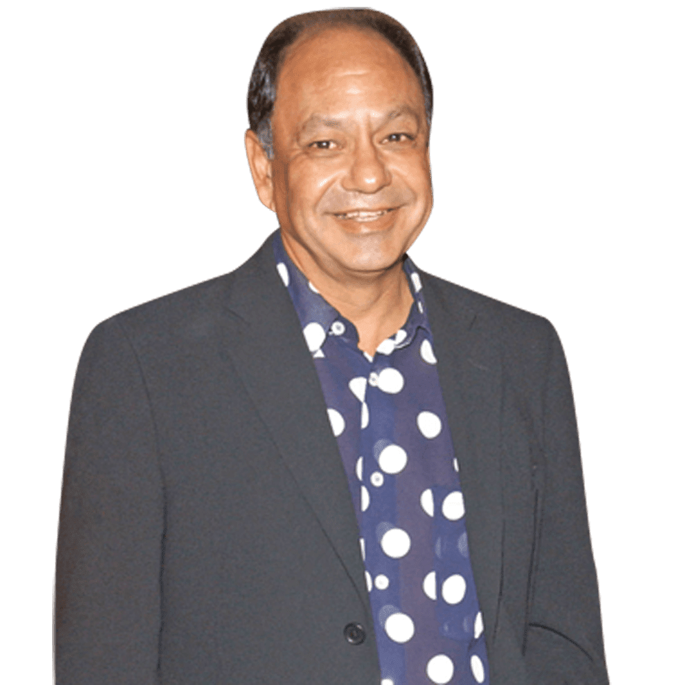 Cheech Marin (Suit) Half Body Buddy Cutout - Walmart.com
