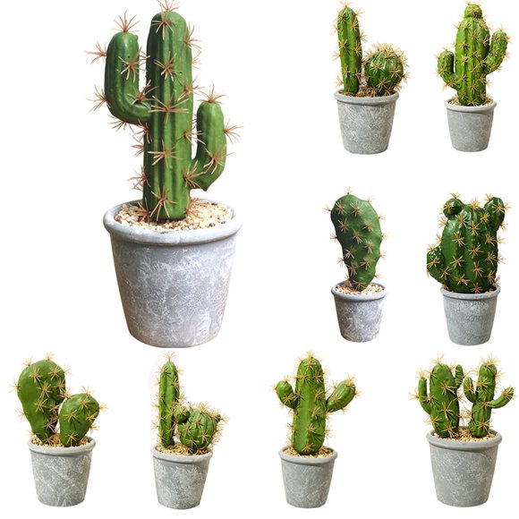 Fake Cactus