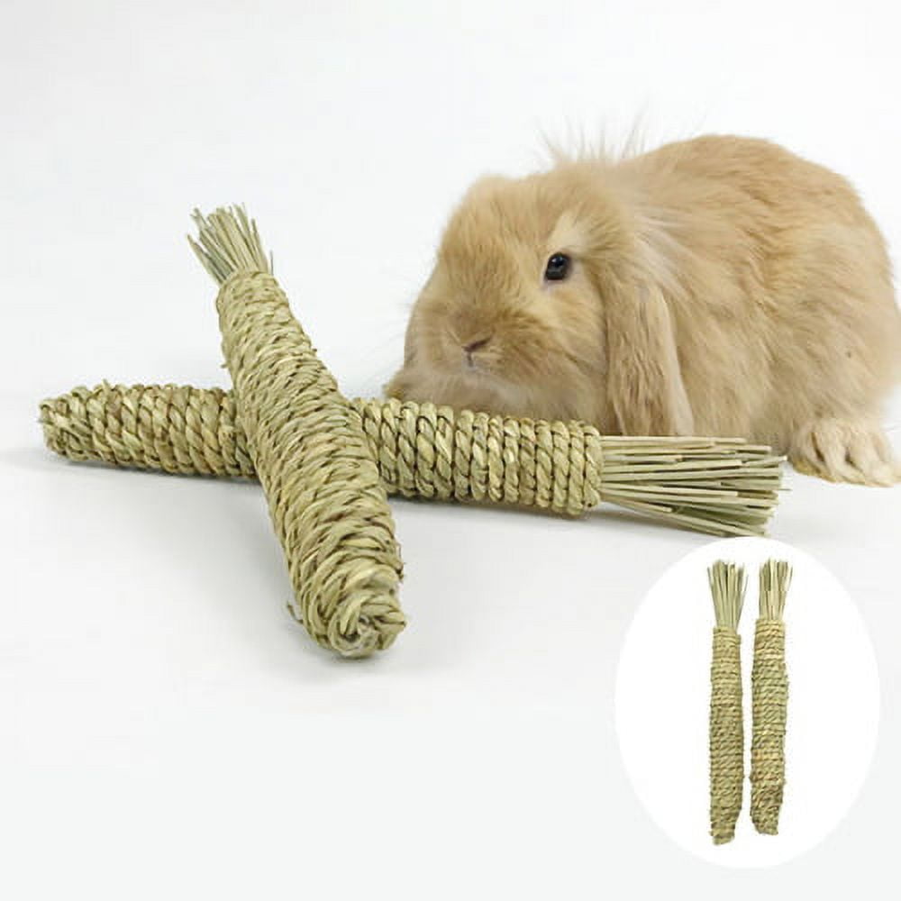 Cheers.US 1 Pcs / 2 Pcs Rabbit Toy Teeth Grinding Toy Natural Grass ...