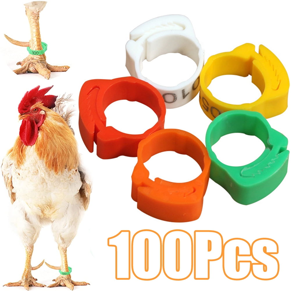 Cheers.US 100Pcs Chicken Birds Leg Rings- Colorful Numbered Chicken ...