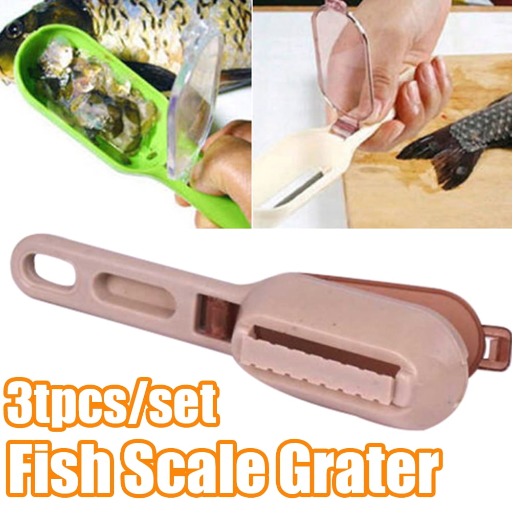 Cheers.US 3 Pcs/Set Fish Scale Remover Fish Scaler Brush with Lid ...