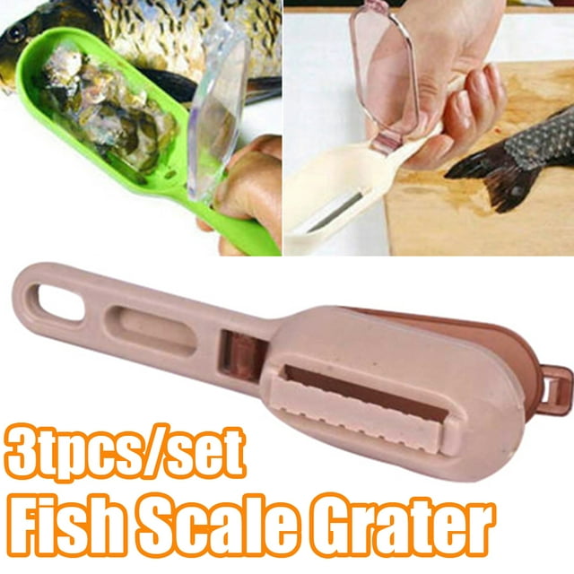Cheers.US 3 Pcs/Set Fish Scale Remover Fish Scaler Brush with Lid ...