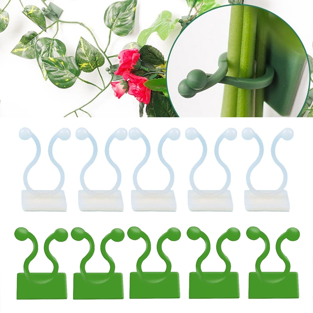 Cheers.US 50Pcs/Set Plant Climbing Wall Fixture Clips, Plant Fixer Self ...