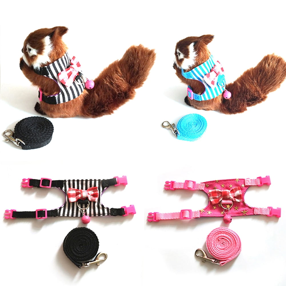 Cheers.US Animals Harness and Leash Set Hamster Walking Training ...