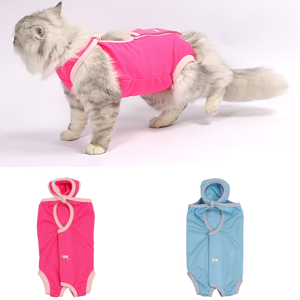 Cheers.US Cat Recovery Suit Kitten Recovery Suit for Cats and Dogs ...