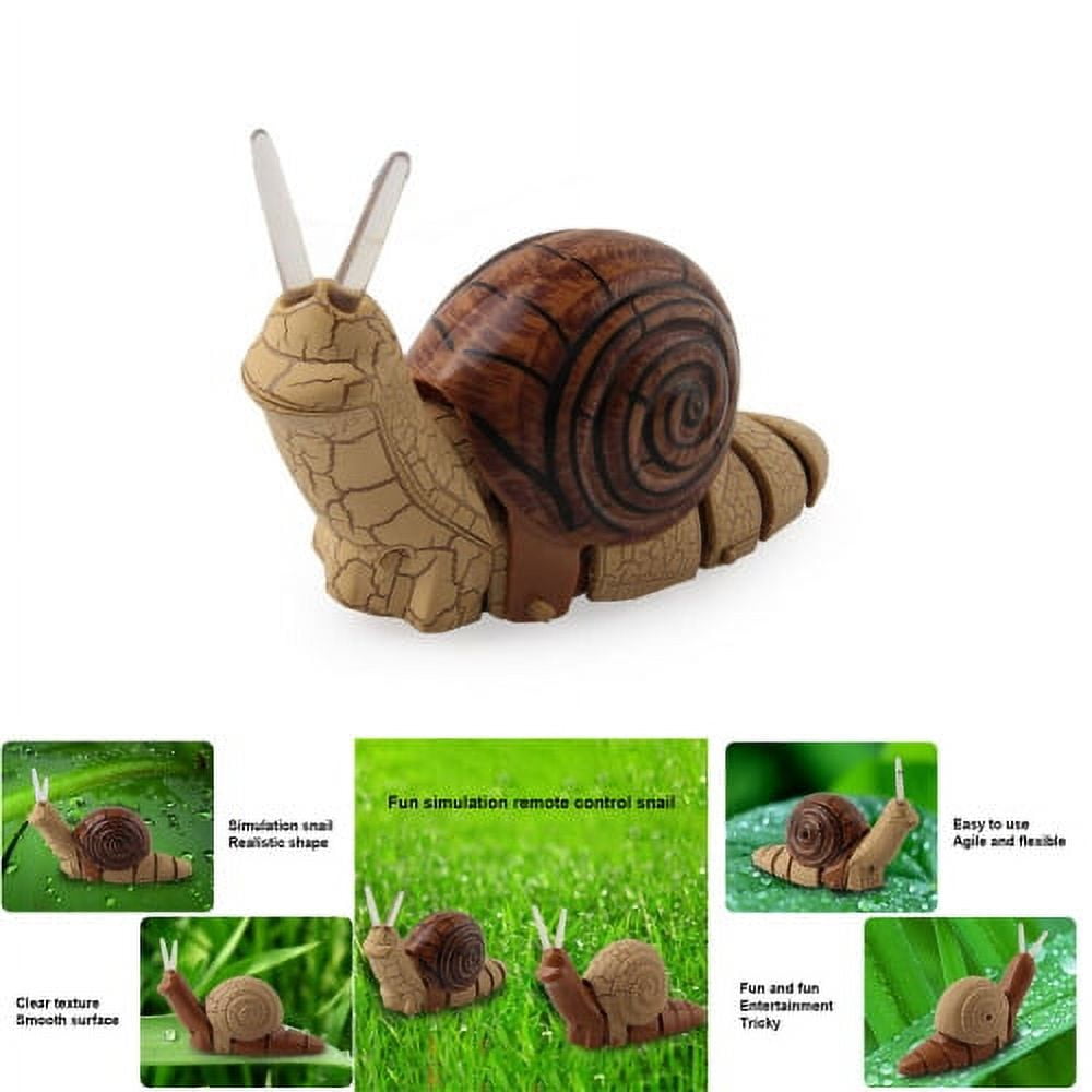 Cheers.US Funny Infrared Remote Control Realistic Snail Animal Model ...