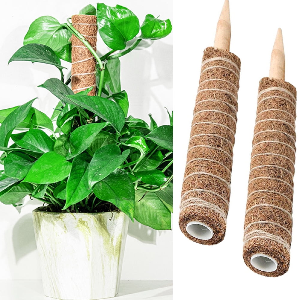 Cheers.US Moss Pole for Climbing Plant Pole Wood Moss Stick for Potted ...