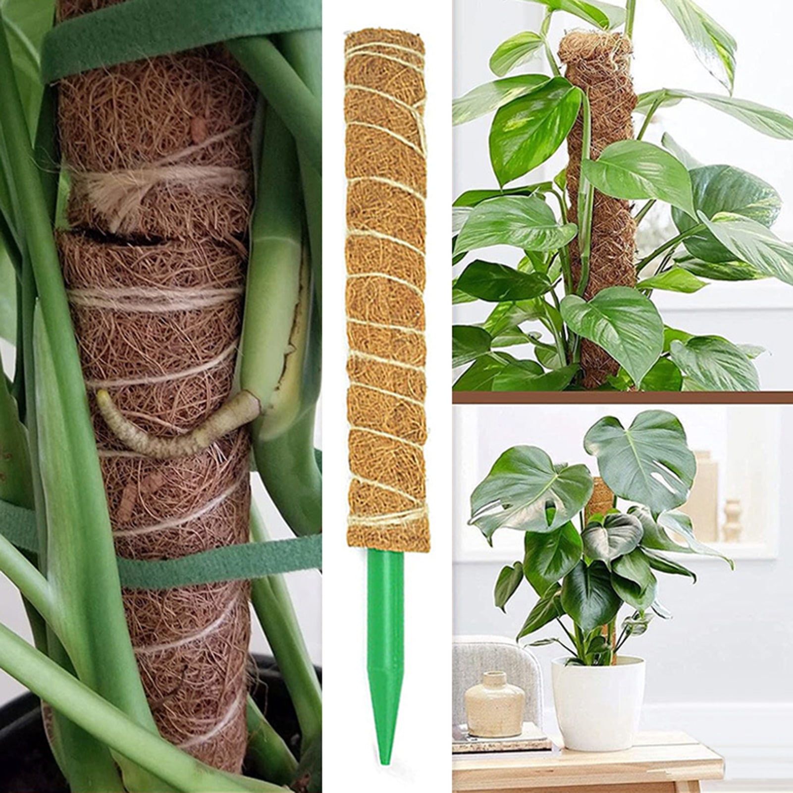 Cheers US Moss Pole for Plant Monstera, Plant Stakes Spagham Real ...