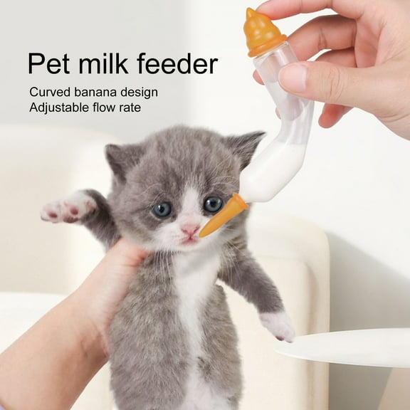 Cat Feeding Syringe